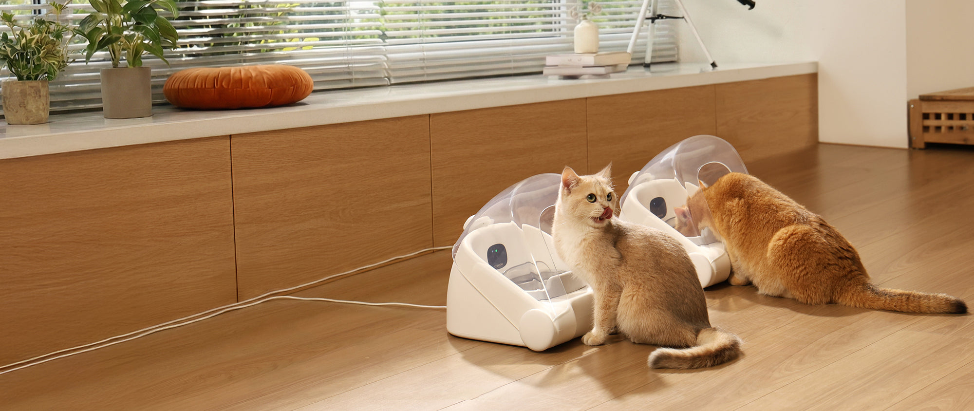 Cheerble - Innovative Pet Products