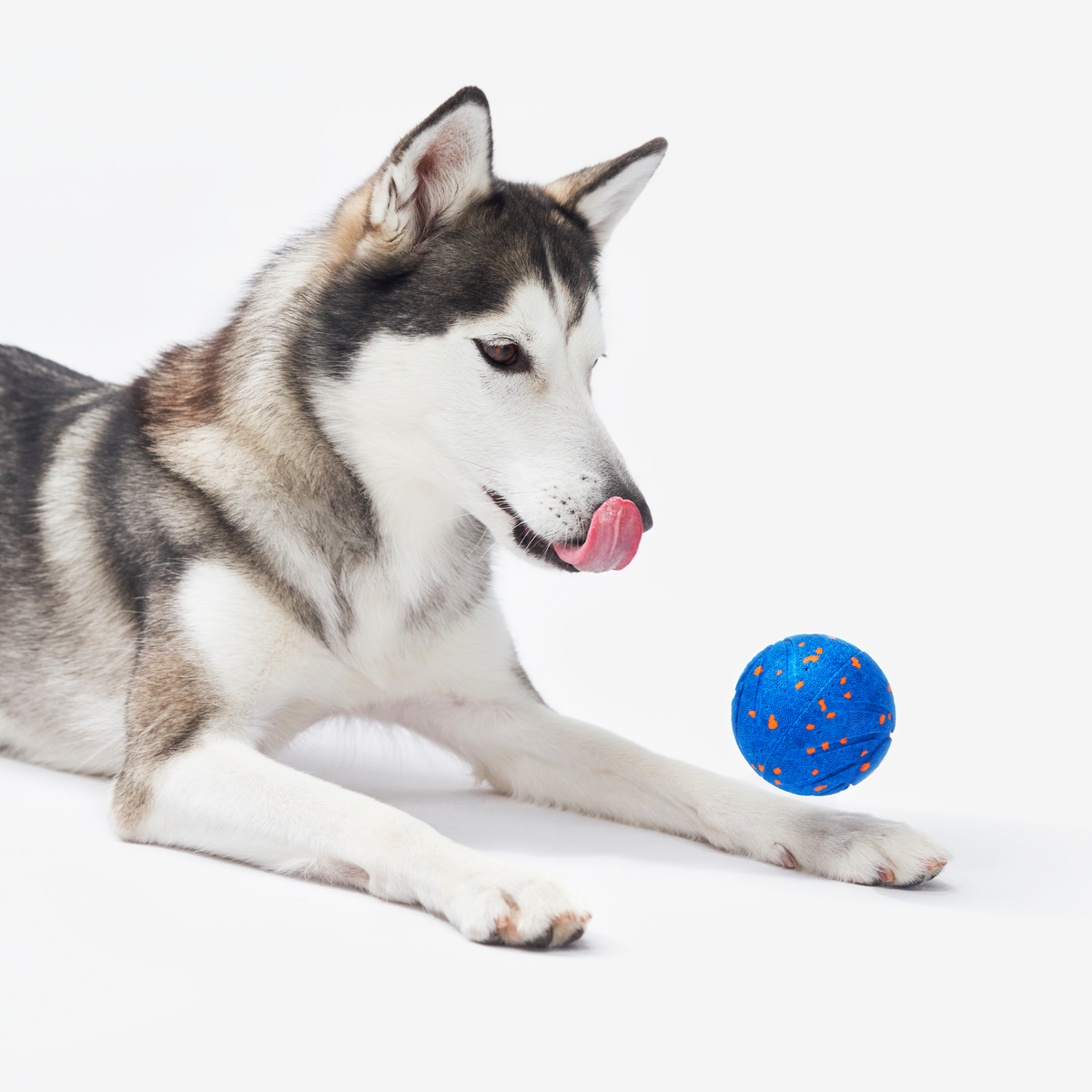 Wicked Ball Air: Smart Dog Toy | Interactive Play