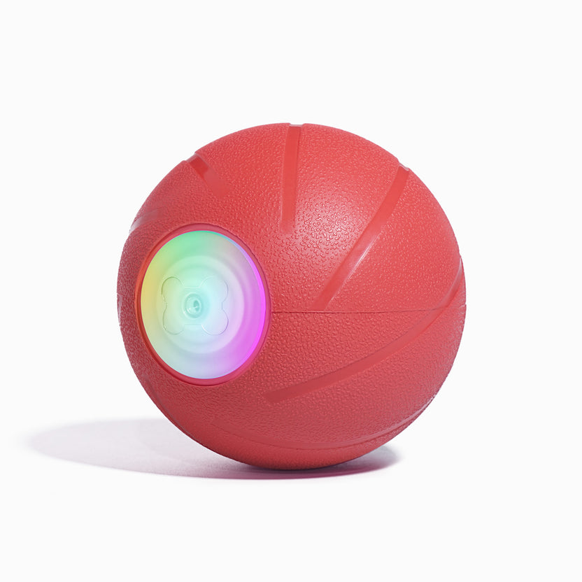 Wicked Ball: Automatic Pet Toy | Fun & Play!