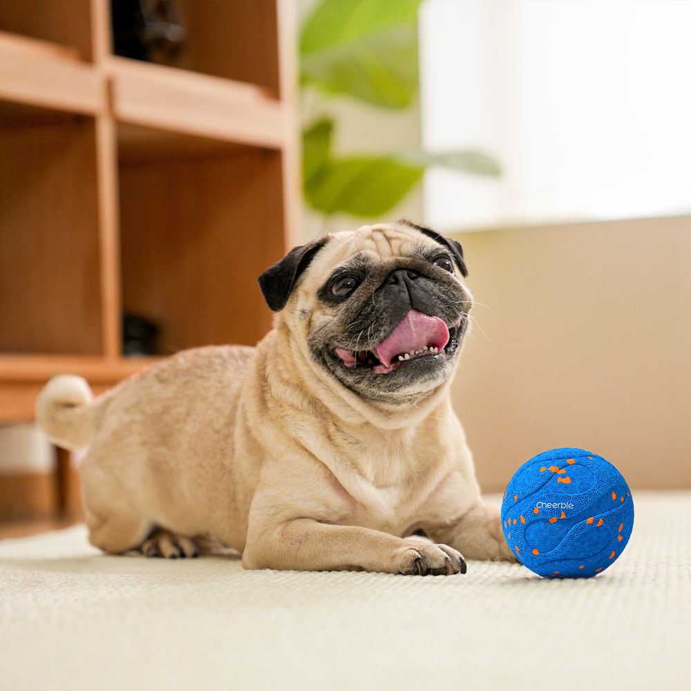 Wicked Ball Air Neo | Play & Emotional Comfort