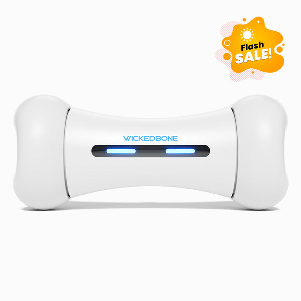 Wickedbone Dog Toy | Smart & Interactive Fun!